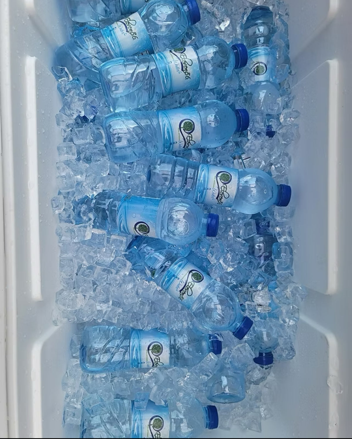 Eleven86 Real Artesian Water – Global Health Consortia